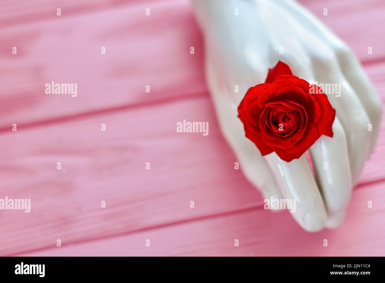 Hand and rose model hi-res stock photography and images - Alamy