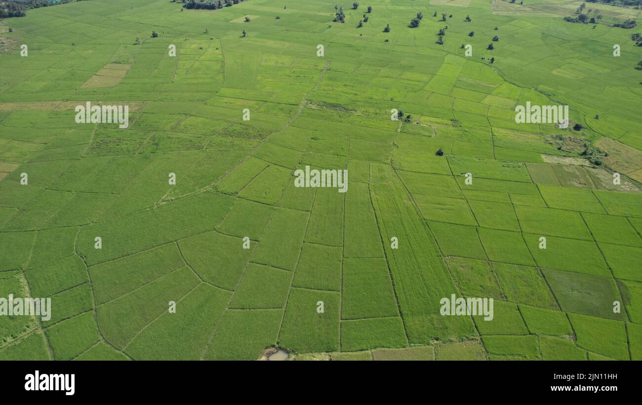 An aerial distant view of a landscape with green fields in a rural area ...