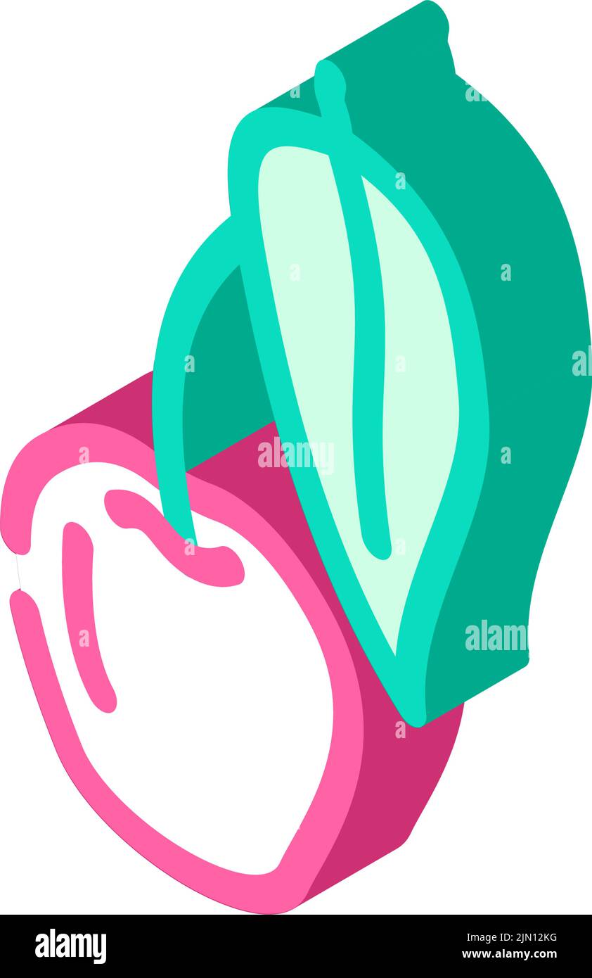 cherry leaf isometric icon vector illustration Stock Vector Image & Art ...