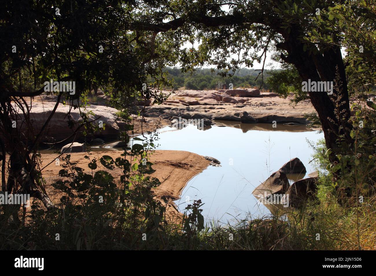 Afrikanischer Busch - Krügerpark - Red Rocks / African Bush - Kruger ...