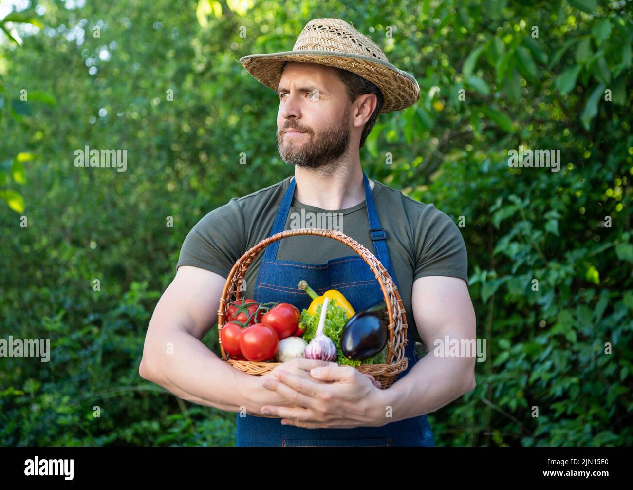 harvester in straw hat hold basket full of vegetables Stock Photo - Alamy