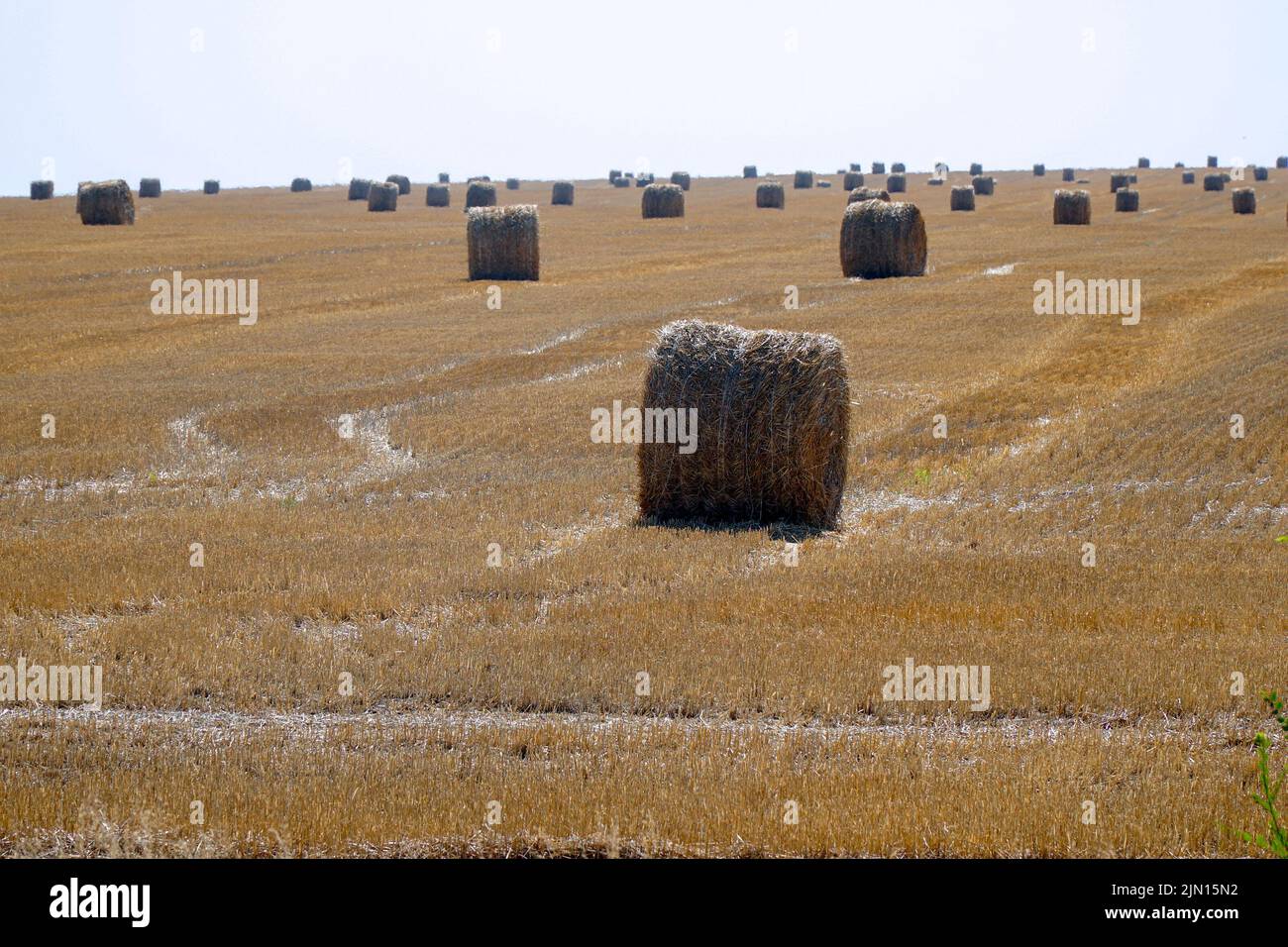 Harvesting rolls hi-res stock photography and images - Alamy