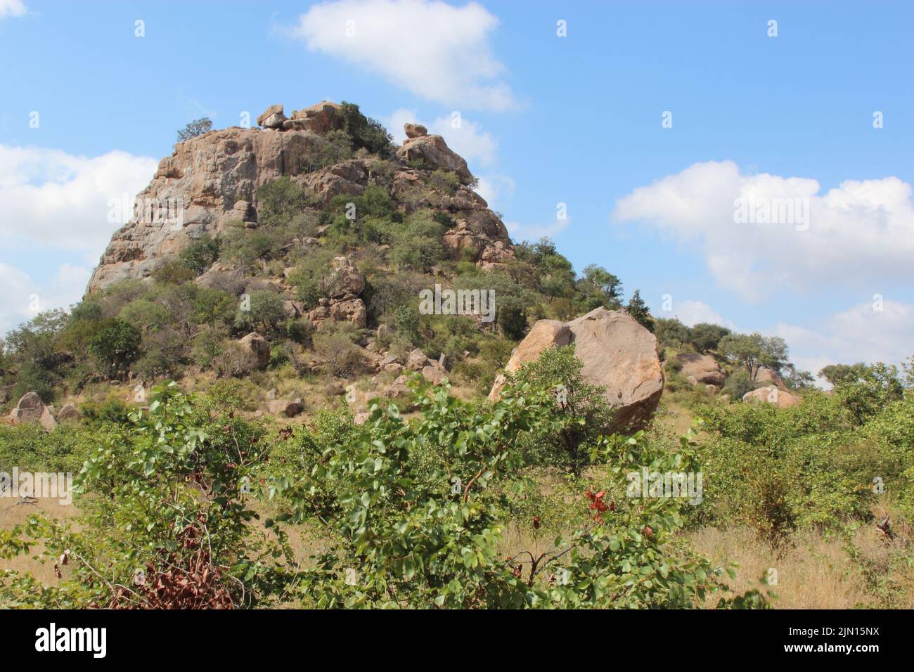 Krüger Park - Afrikanischer Busch - Inselberg / Kruger Park - African ...