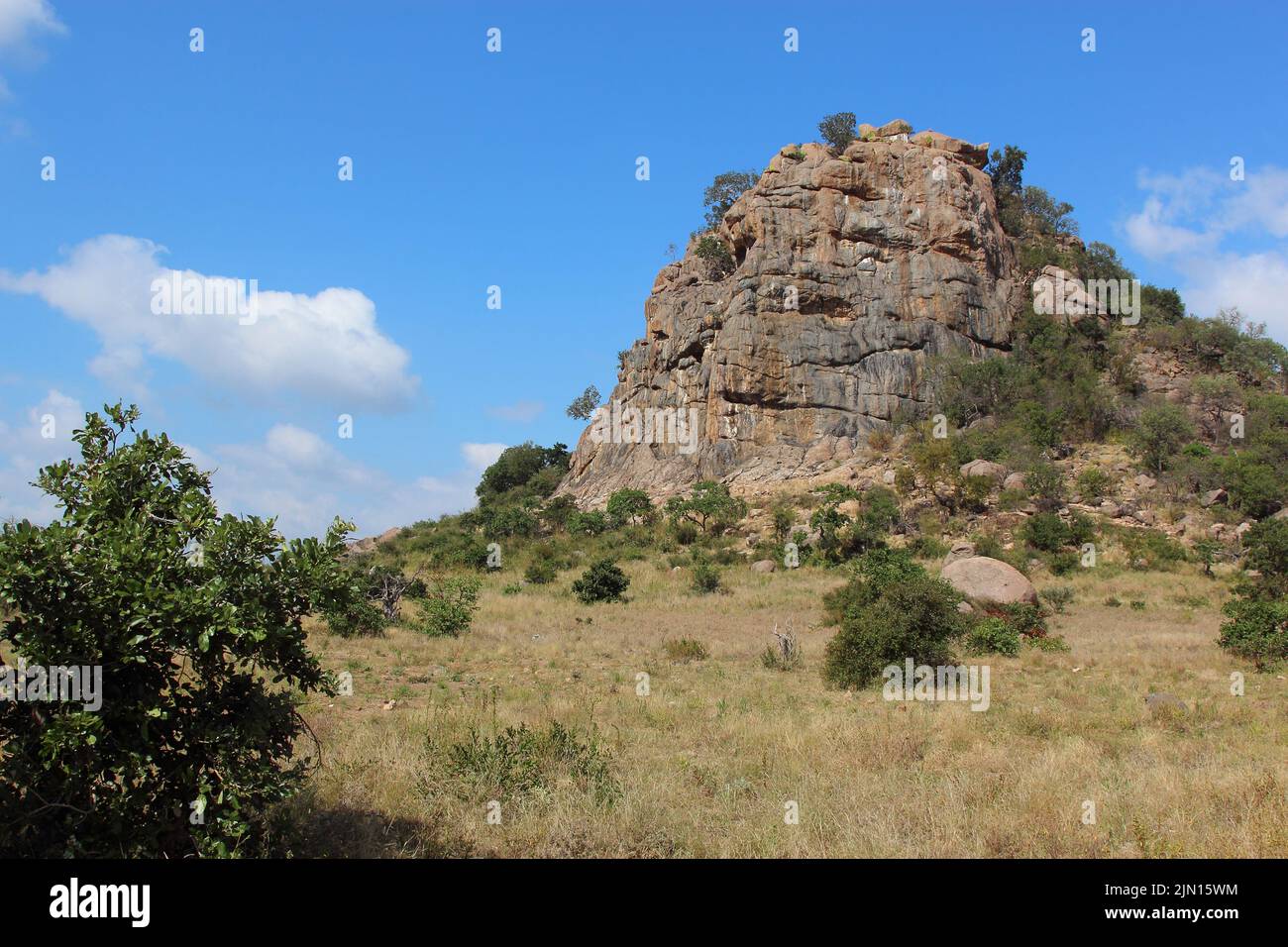 Krüger Park - Afrikanischer Busch - Inselberg / Kruger Park - African ...