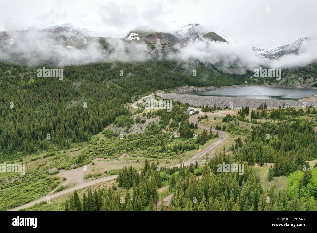 An aerial view of a beautiful forest landscape with lush green nature ...