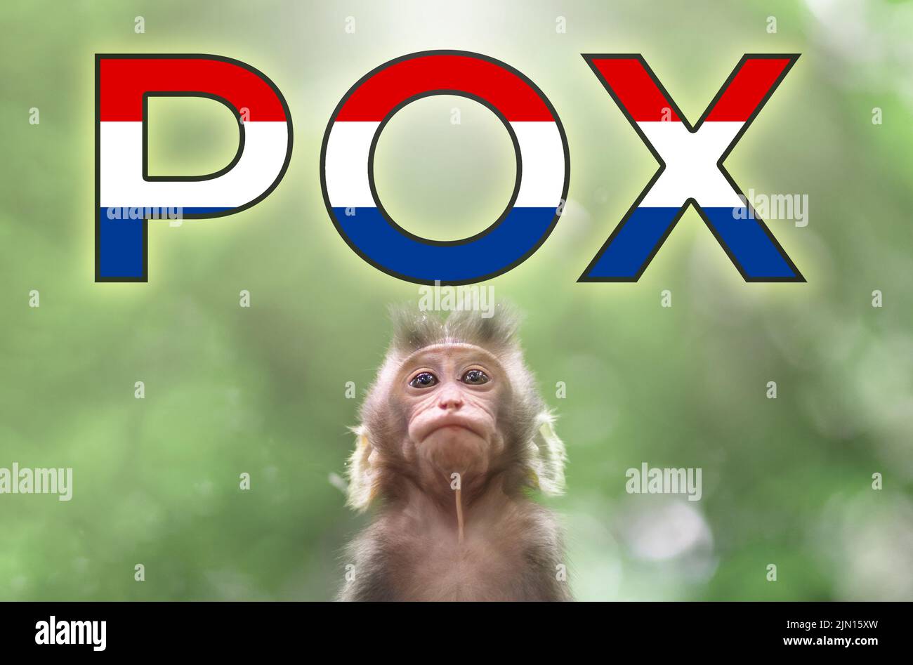 A new outbreak of viral infection in Netherlands, monkey pox. Little ...