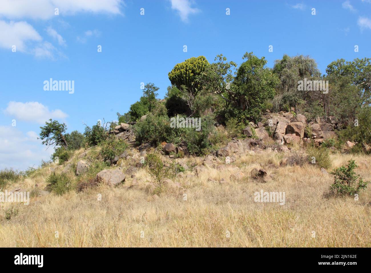 Krüger Park - Afrikanischer Busch - Inselberg / Kruger Park - African ...
