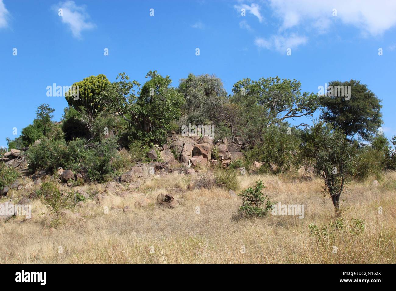 Krüger Park - Afrikanischer Busch - Inselberg / Kruger Park - African ...