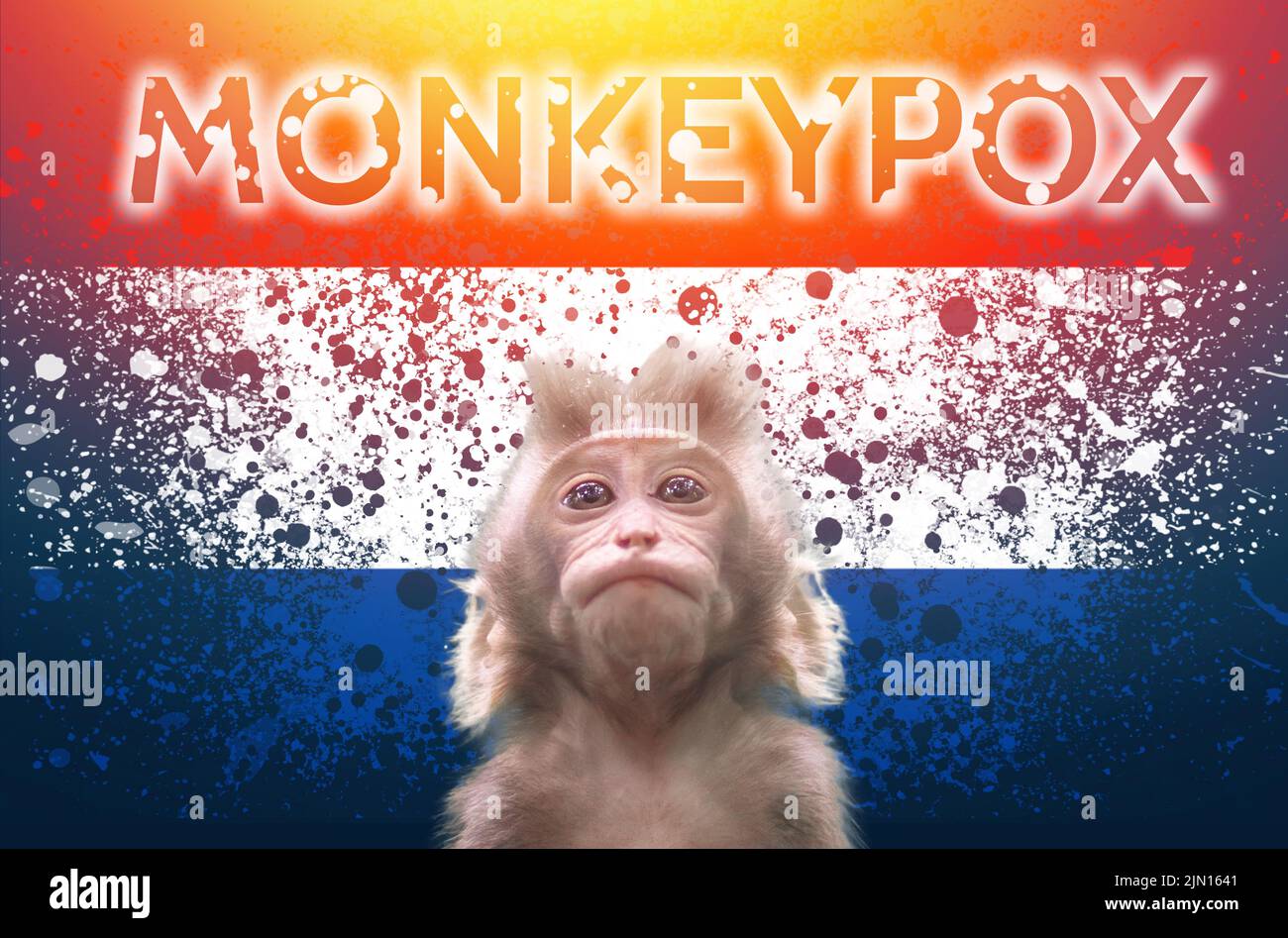 A new outbreak of viral infection at Netherlands , monkey pox. Little ...