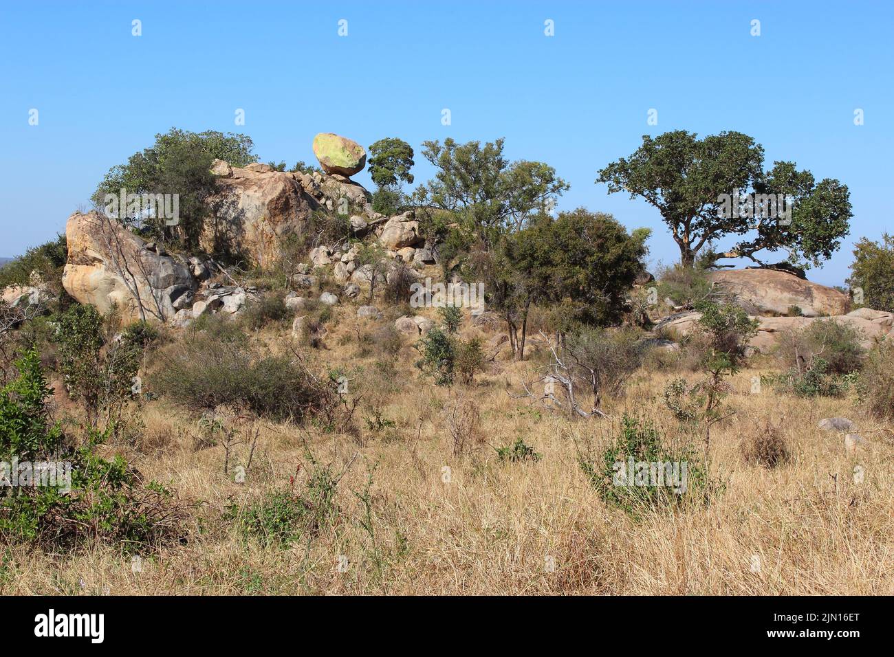 Krüger Park - Afrikanischer Busch - Inselberg / Kruger Park - African ...