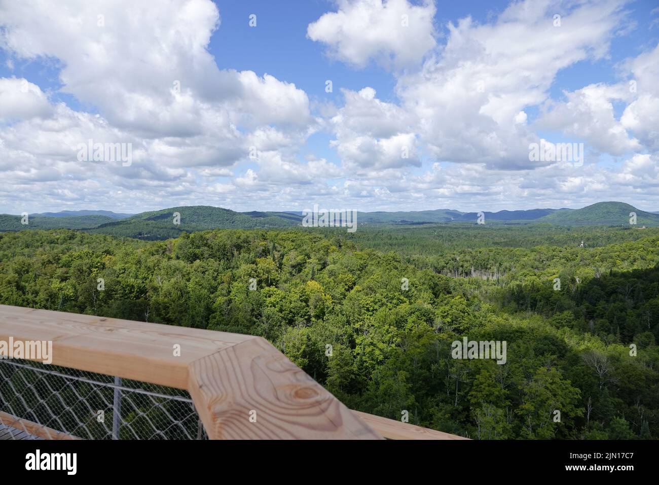 A panoramic view of the hills covered in tree in Mont-Blanc village ...