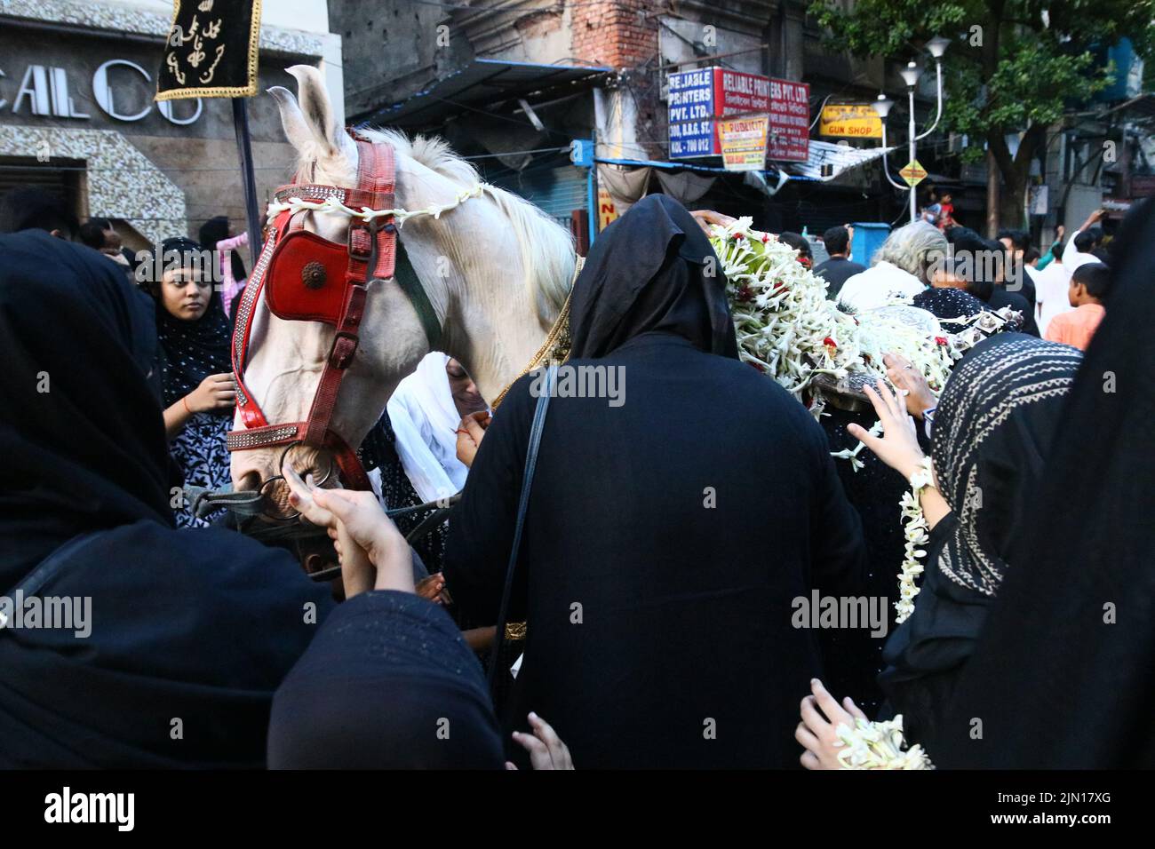 Shia Muslims participate in a religious procession on the 8th day of ...