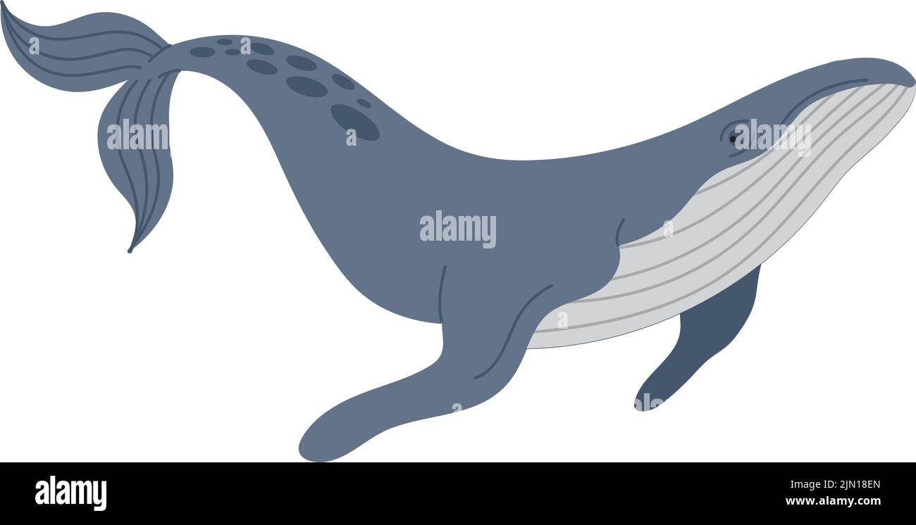 whale humpback animal sealife character Stock Vector Image & Art - Alamy