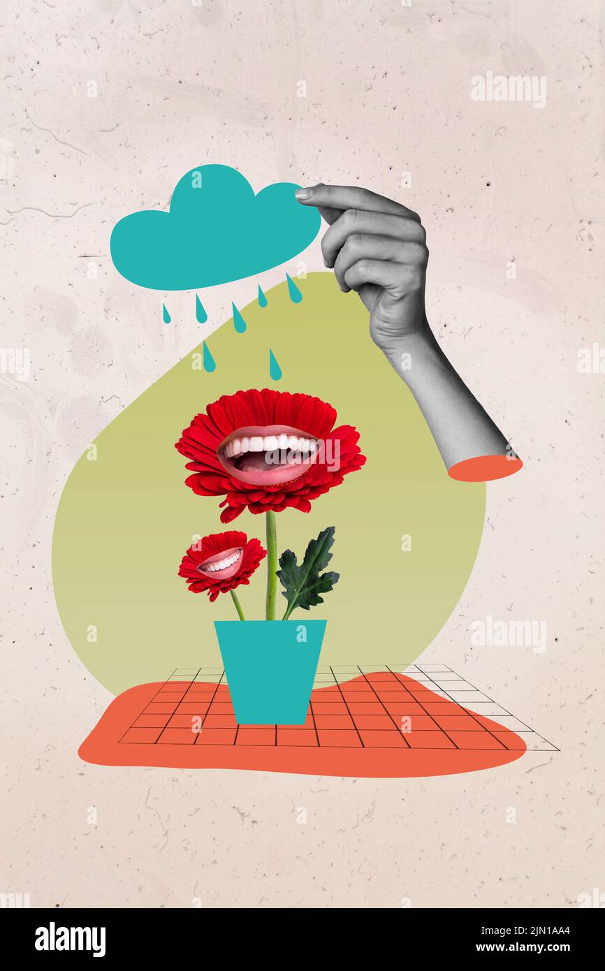 Image magazine collage of laughing flowers daisy enjoying rainstorm ...