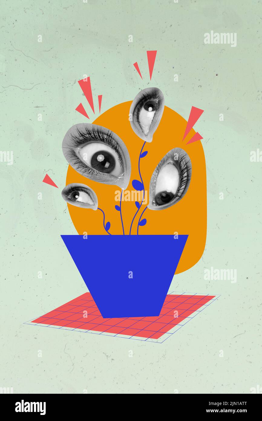 Banner advert collage of unusual house plant with human eyeball growing ...