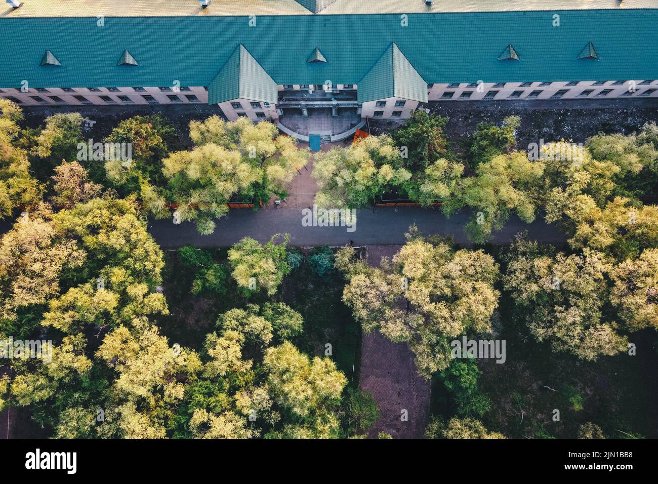 An aerial top view of bright green trees in a garden in front of a long ...