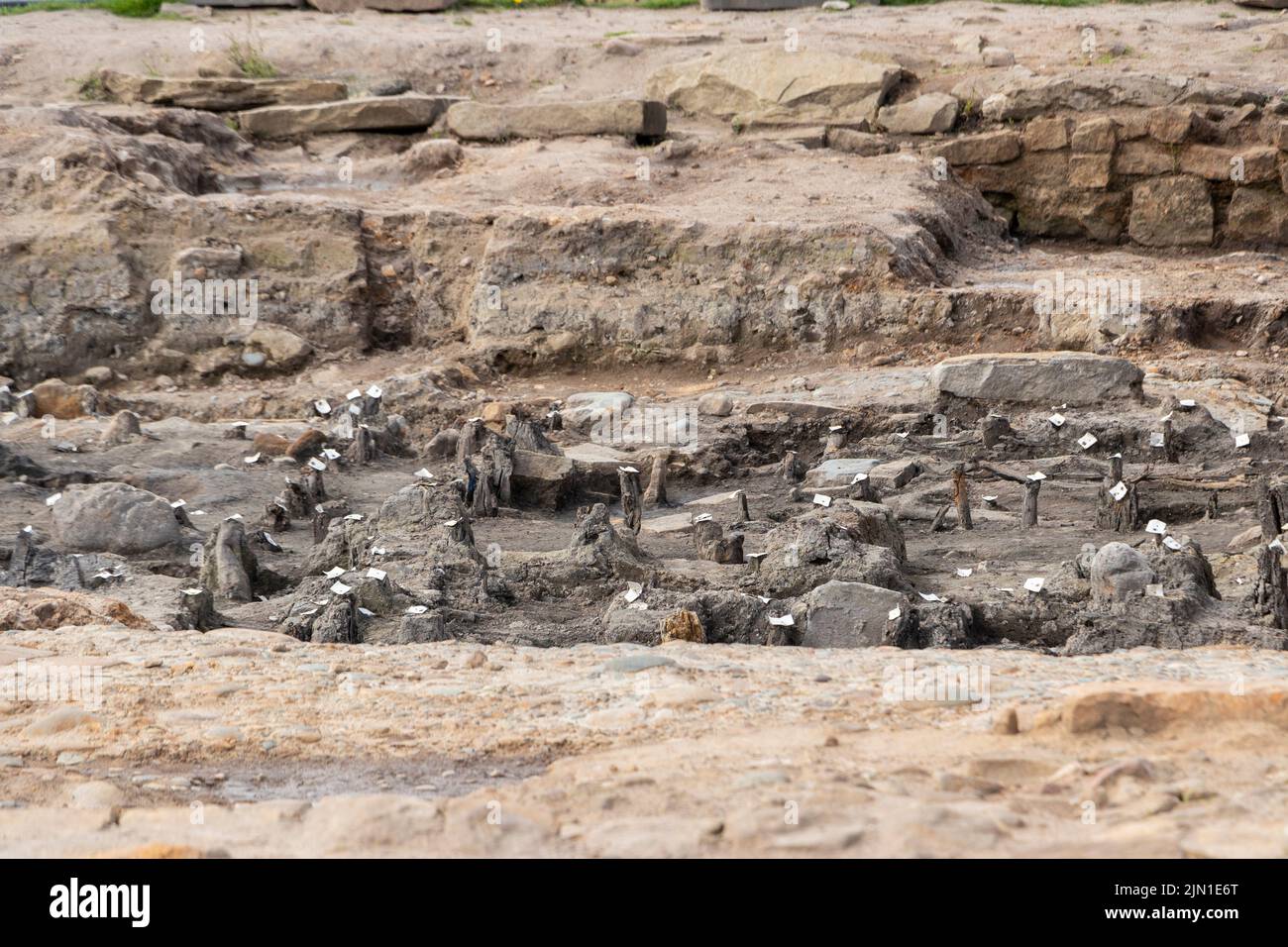 close up of excavated timber at vindolanda historic roman site ...