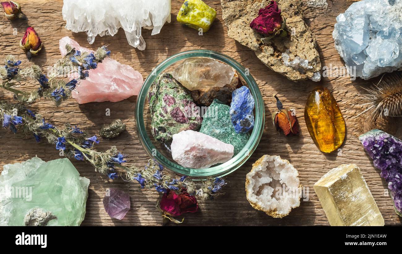 Wizard rose hi-res stock photography and images - Alamy