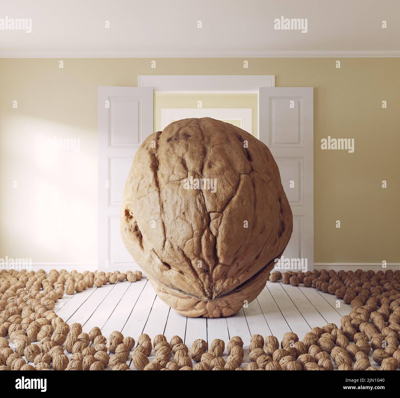 giant walnut in the room. 3d conceptual idea Stock Photo - Alamy