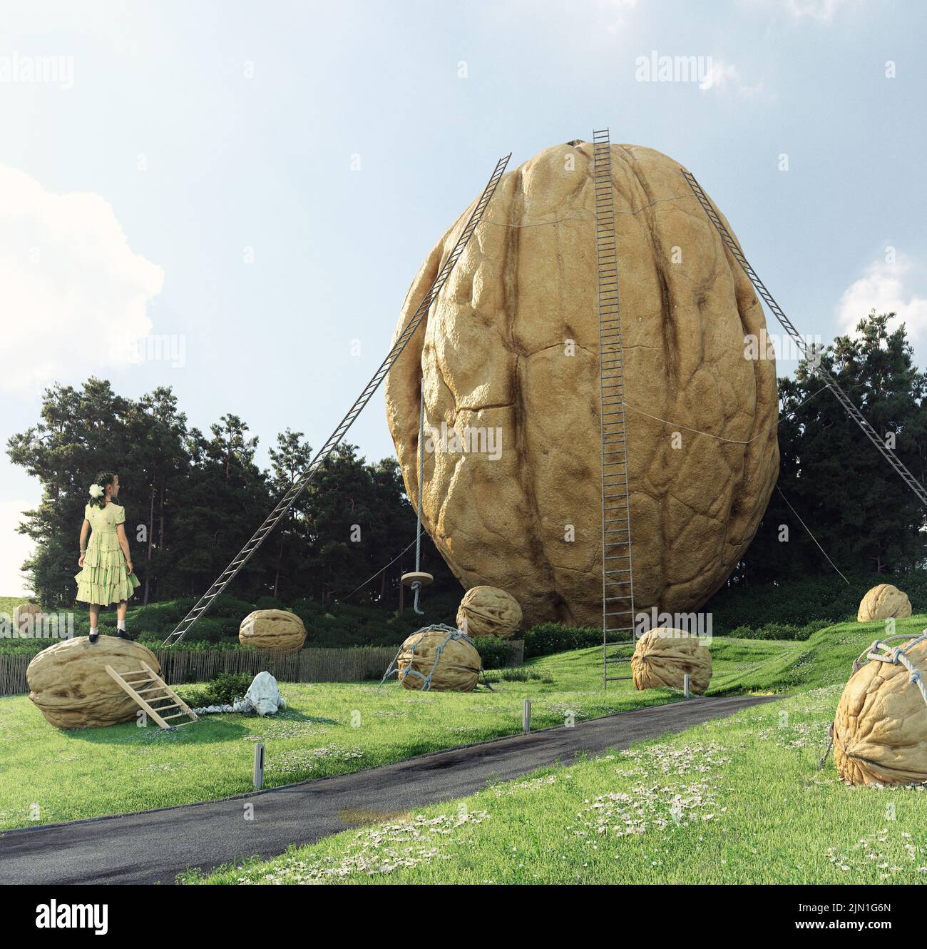 the girl in the giant walnut world. Creative 3d fantasy illustration ...