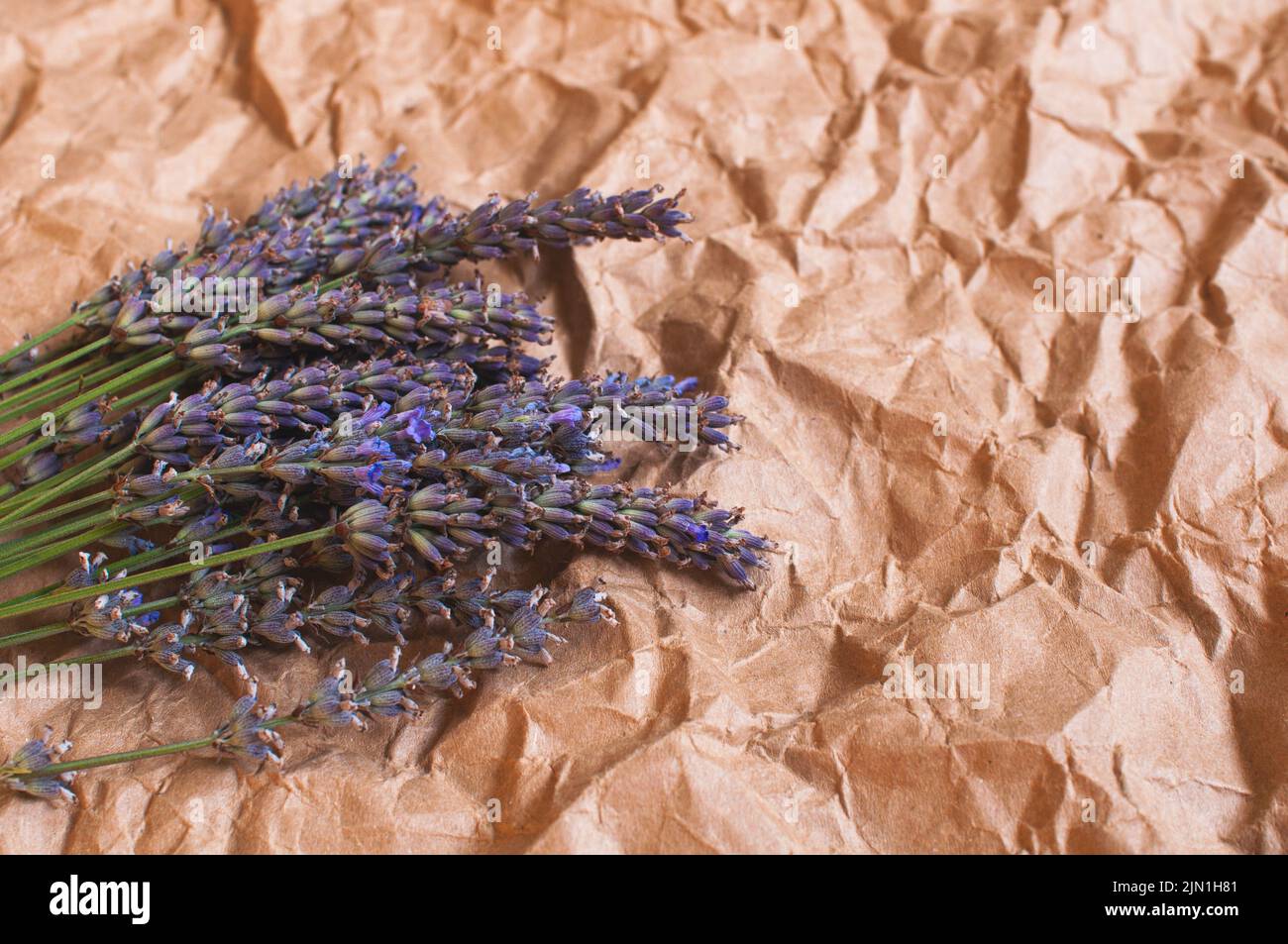 Bouquet of fragrant fresh lavender flowers on brown craft paper ...