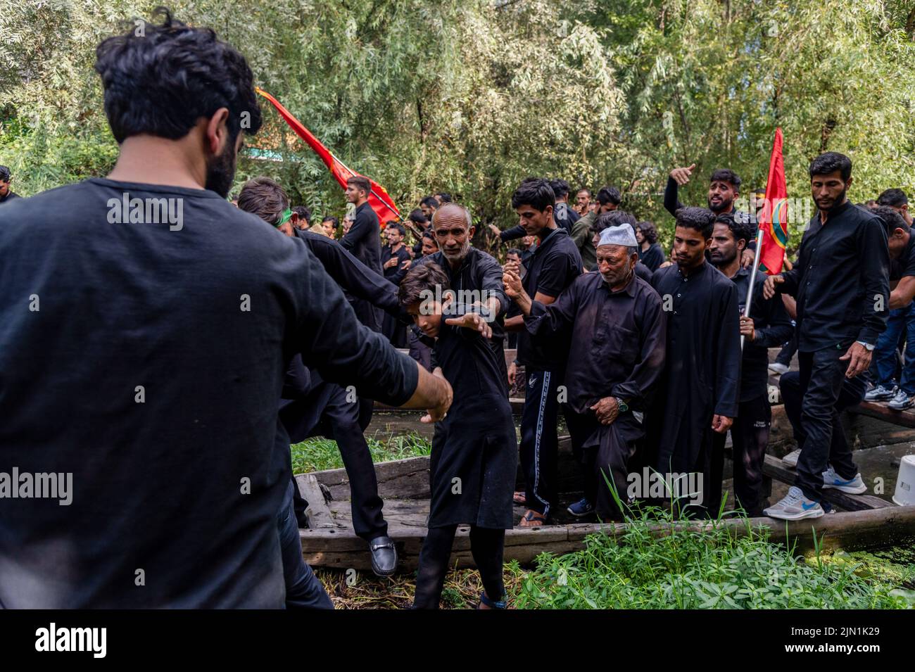 Srinagar, India. 08th Aug, 2022. Shia Muslims beat their chests during ...