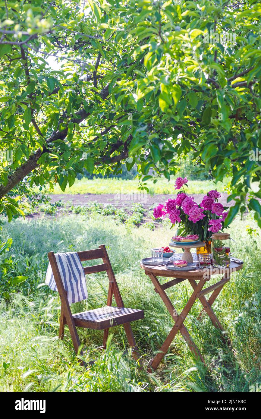 garden and tea party at the country style. still life - cups, dishes ...