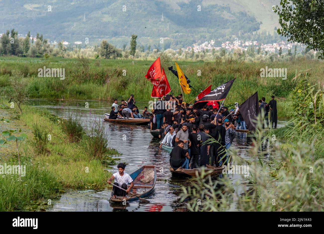 Shia Muslim mourners hold Alam's and recite religious poems during an ...