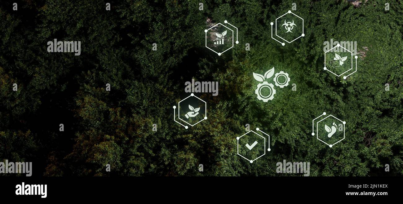 Environment, Society and Corporate Governance green nature blur ...