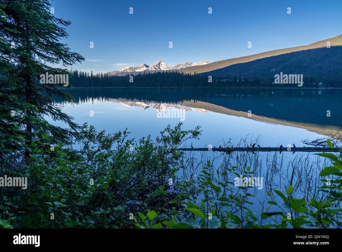 Emerald Lake sunrise with calm water in Yoho National Park Canada Stock ...