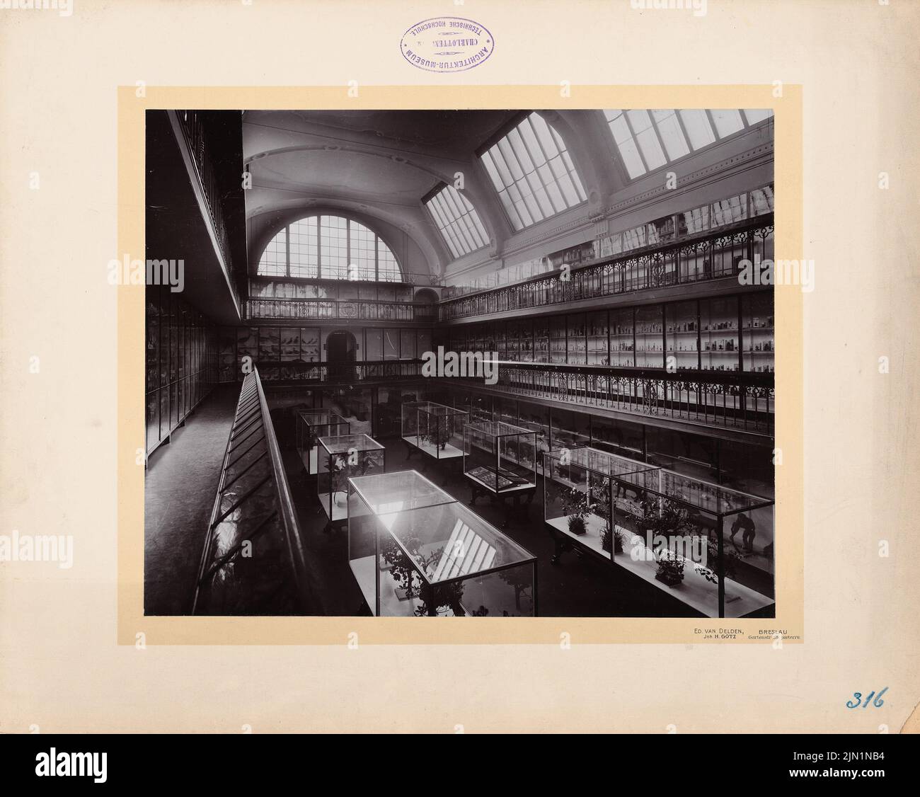 Buchwald Arthur, University of Wroclaw. Zoological Institute (1902-1904 ...