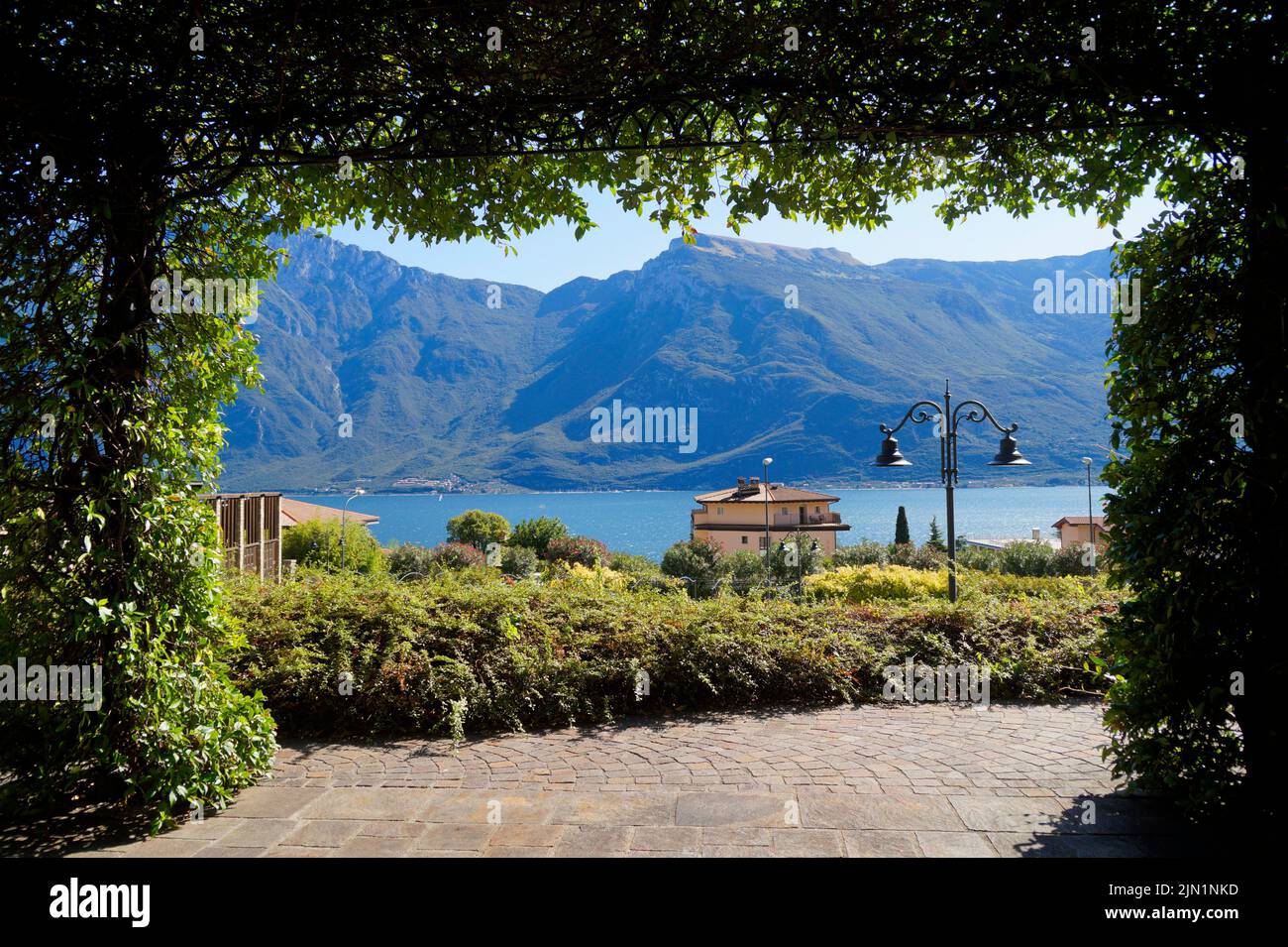 a picturesque view of mediterranean garden with lush tropical green ...