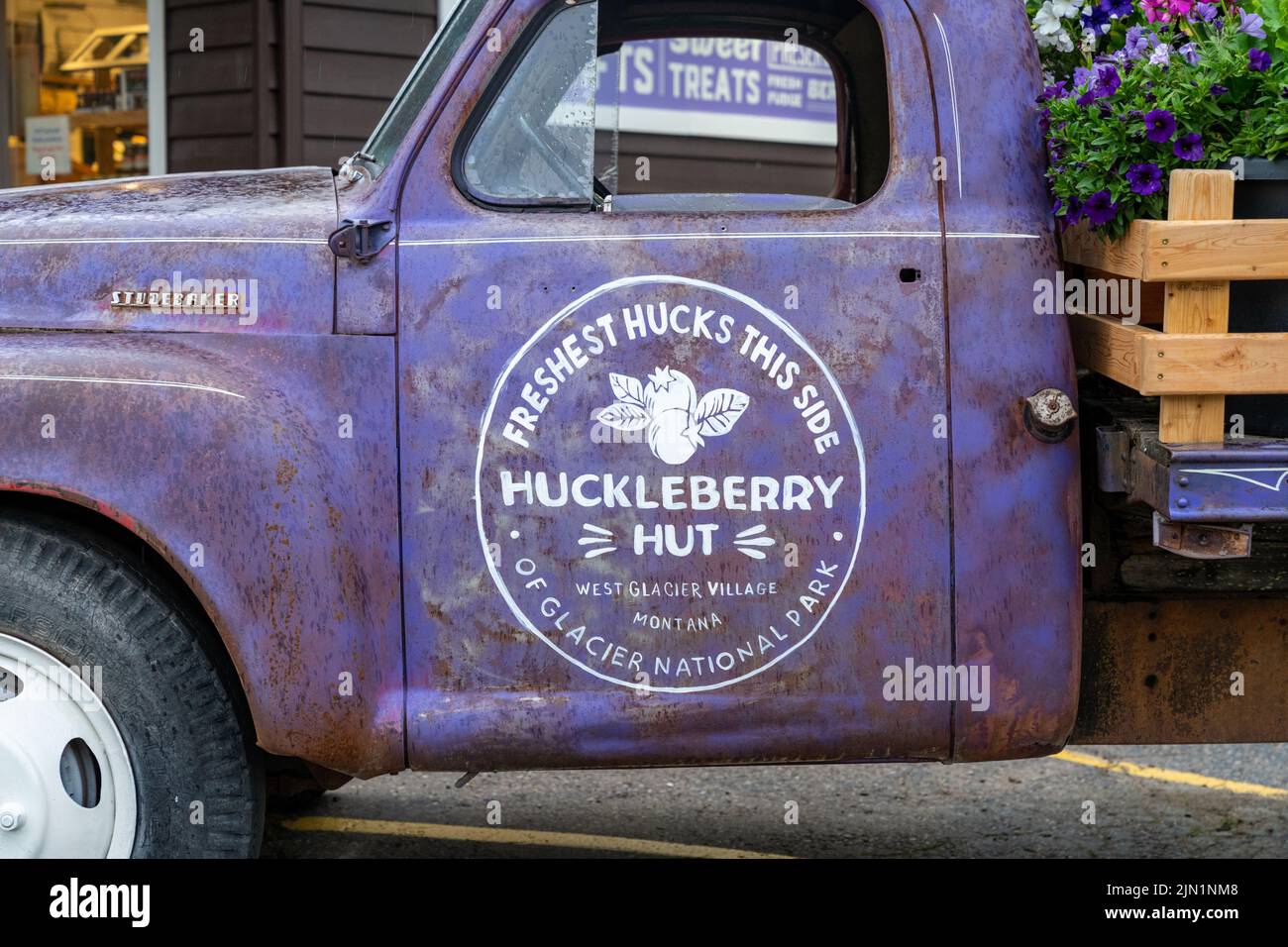 West Glacier, Montana - July 3, 2022: Purple Studebaker rustic truck ...
