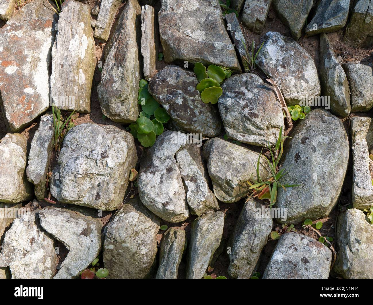 Masonry as a background. A fragment of a fence made of untreated stone ...