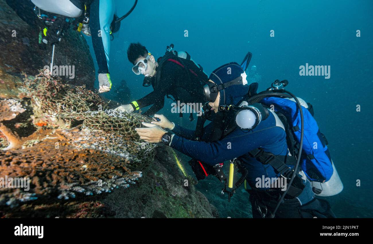 divers cleaning up fishing net from a coral in the Andaman Sea Stock ...