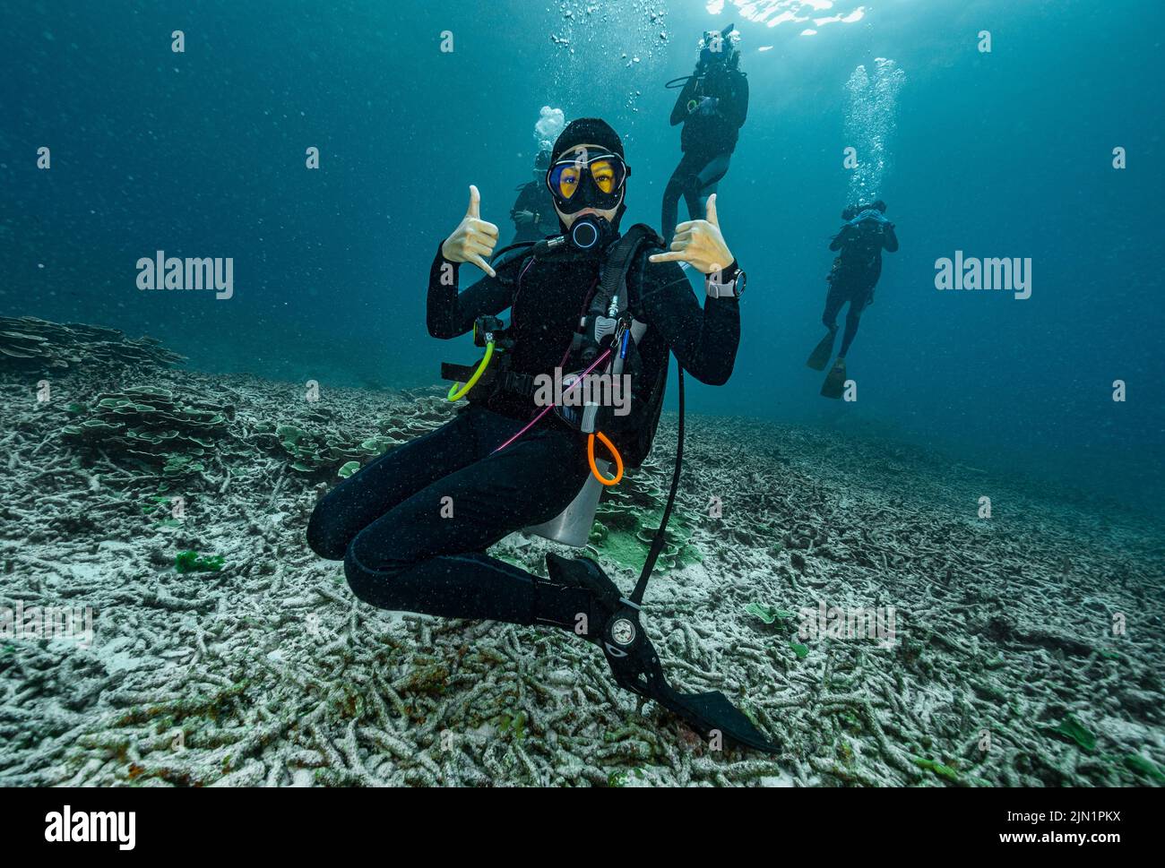 Diver ascending ocean floor hi-res stock photography and images - Alamy