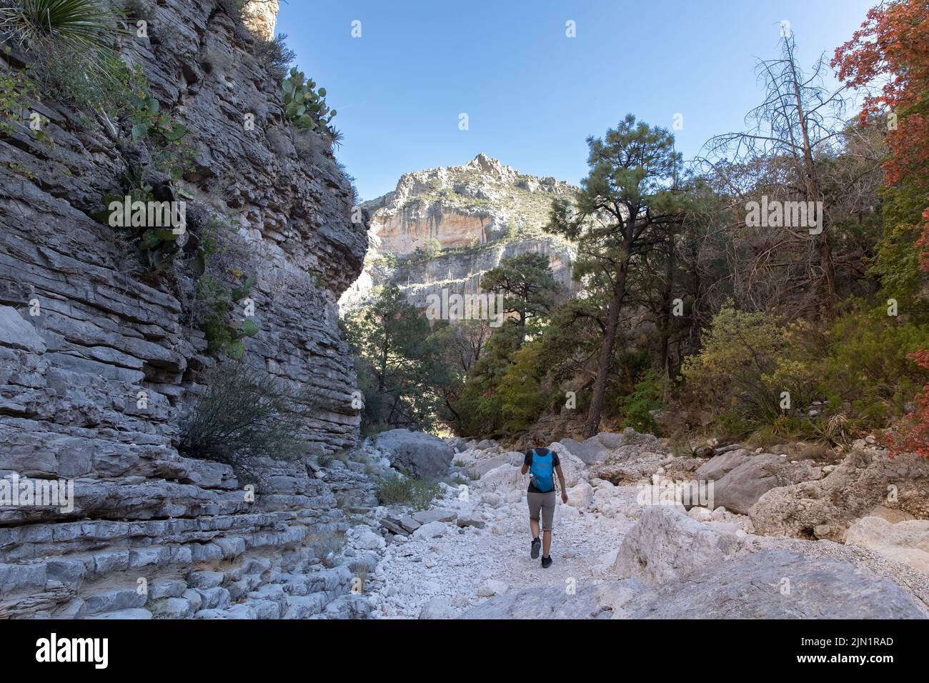 Woman hiker on Devil's Hall trail in Guadalupe Mountains National Park ...