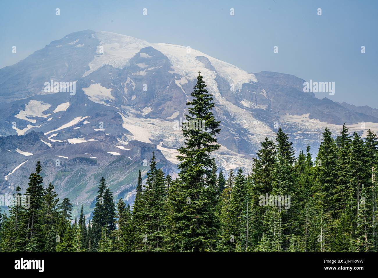Epic forest landscape scenery from the walking trail of the park Stock ...