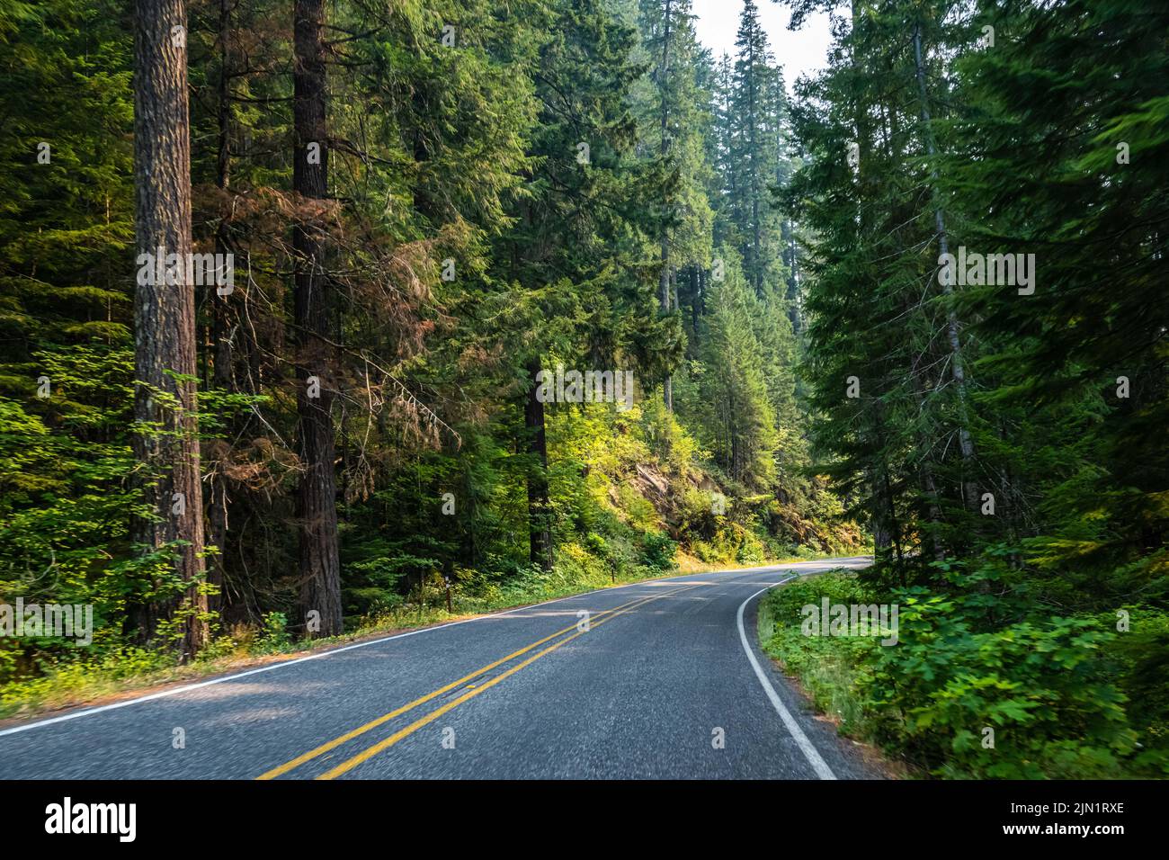 Road trip to the protected area of the beautiful preserve park Stock ...