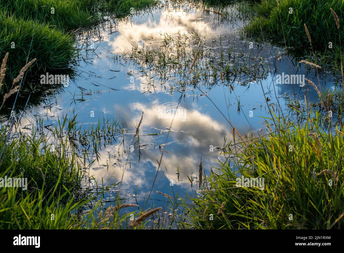 Portland oregon beautiful mountain views hi-res stock photography and ...