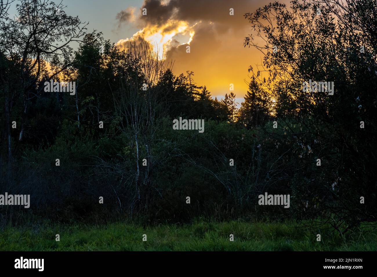 Portland oregon green sky blue hi-res stock photography and images - Alamy