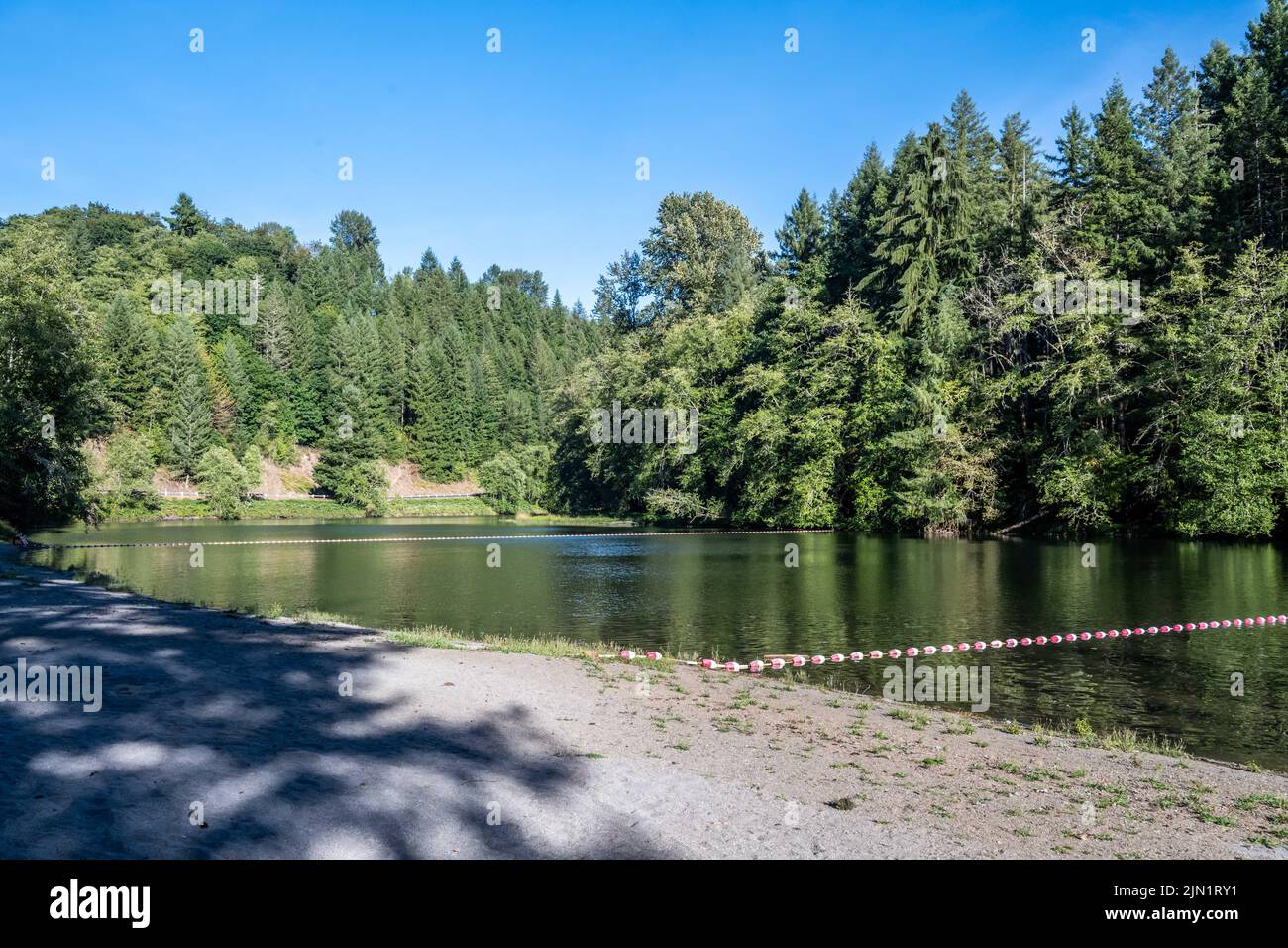 Epic forest landscape scenery from the walking trail of the park Stock ...