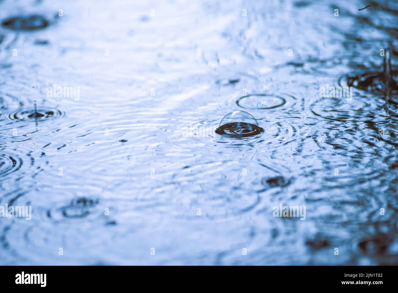 rain puddle circles, aqua abstract background, texture autumn water ...