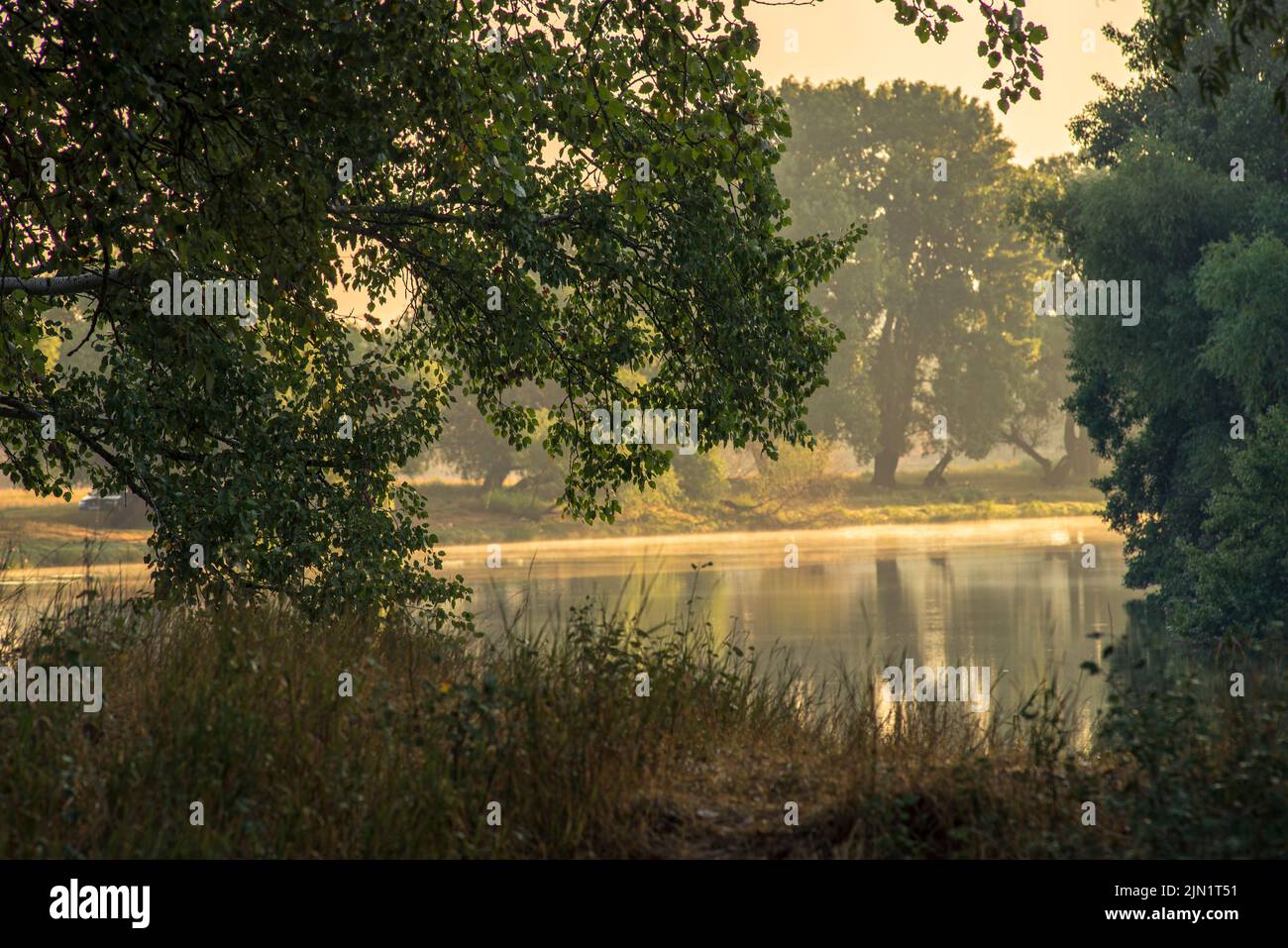 Early morning river. fog trees. sunlight mist water. Olanesti Moldova ...