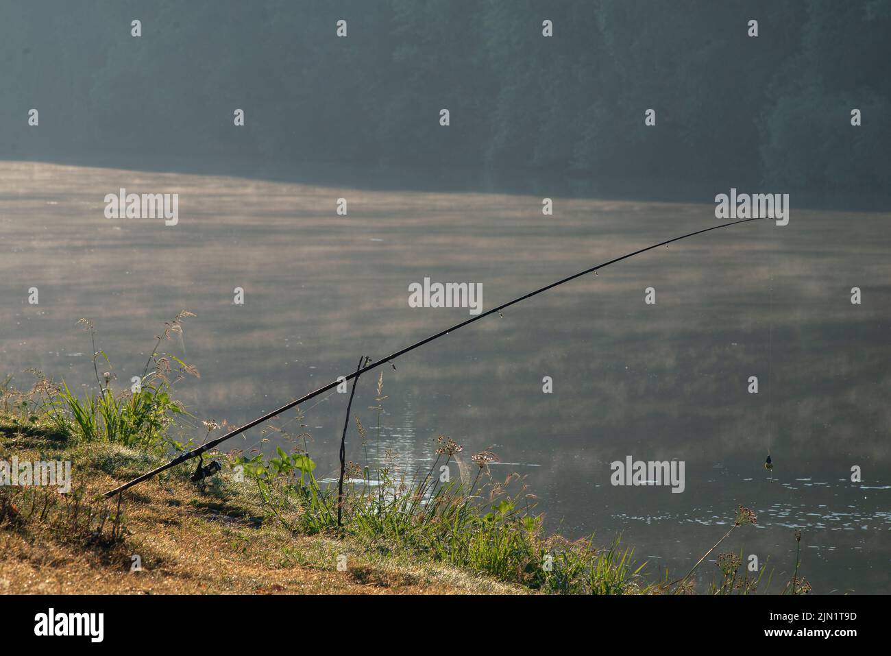 Freshwater angling with rods beside a lake mist morning Stock Photo - Alamy