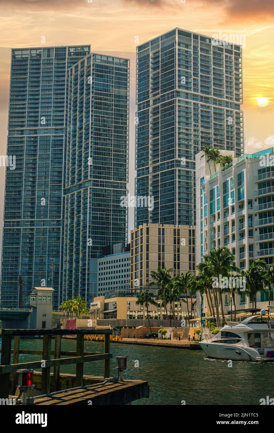 city skyline river Brickell skyscrapers miami sun sky palms tropical ...