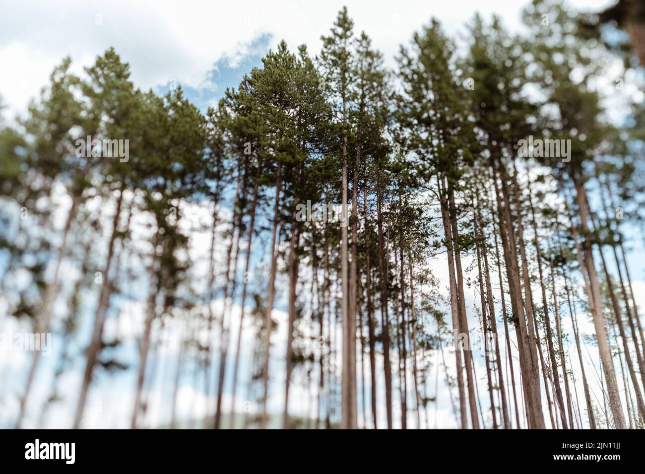 Yellowstone nation hi-res stock photography and images - Alamy