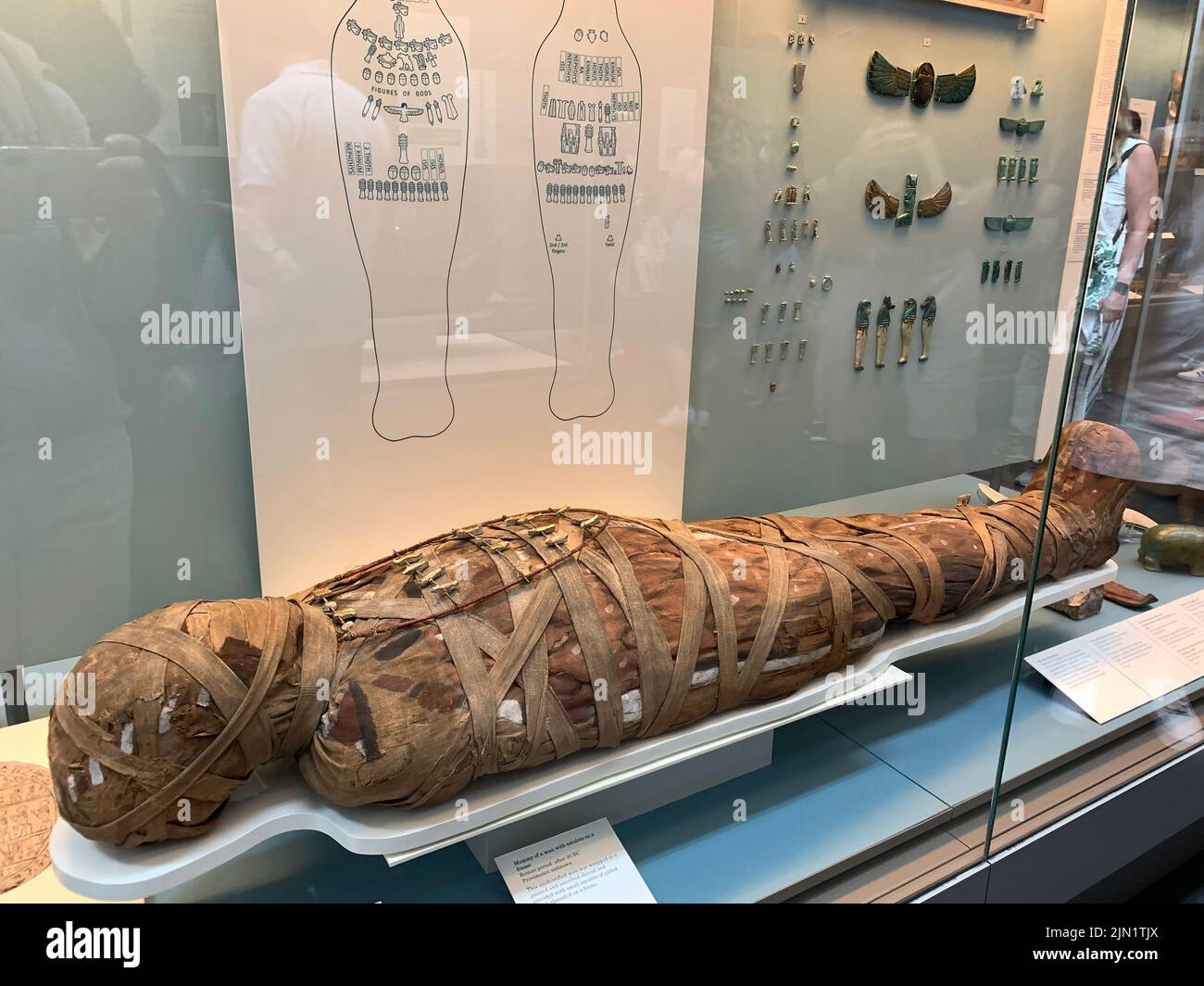 Ancient egyptian mummy british museum hi-res stock photography and ...