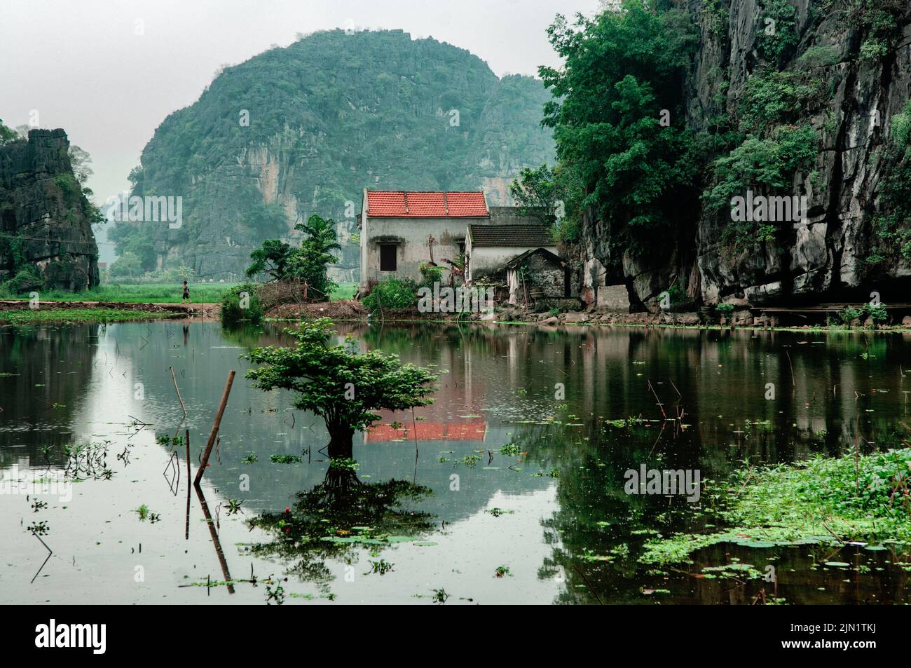 Reflections in a pool of mountain and building, Tam Coc, Vietnam, Asia ...