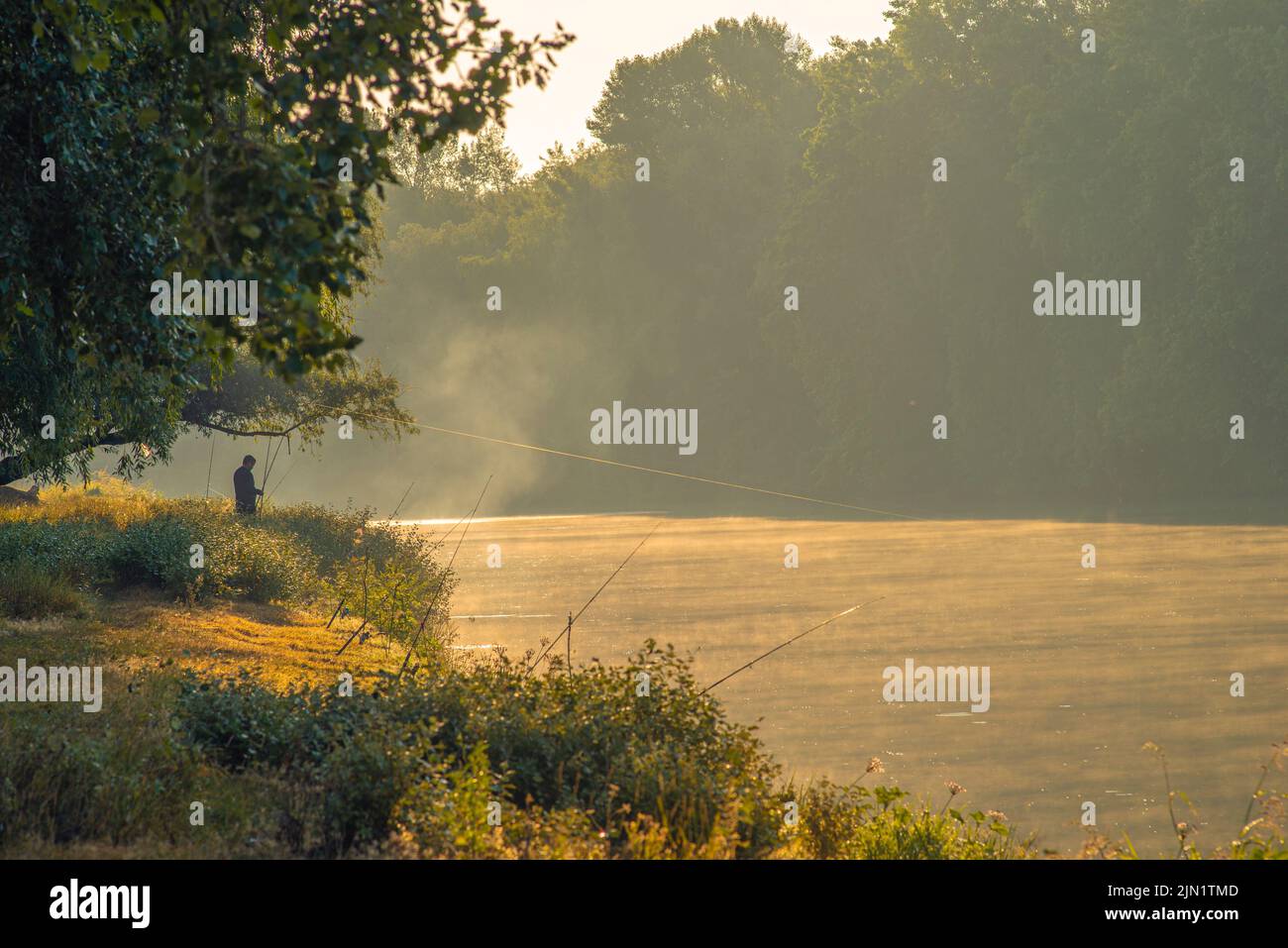 Early morning river. fog trees. sunlight mist water. Olanesti Moldova ...